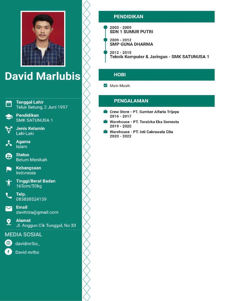 CV DAVID MARLUBIS 3 - Compressed | PDF