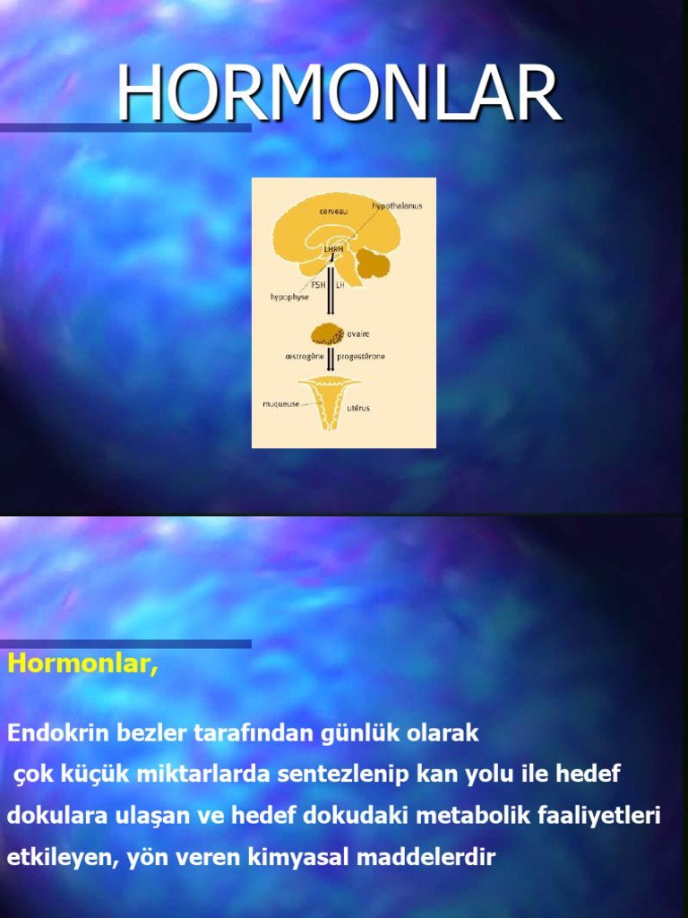 Hormonlar | PDF