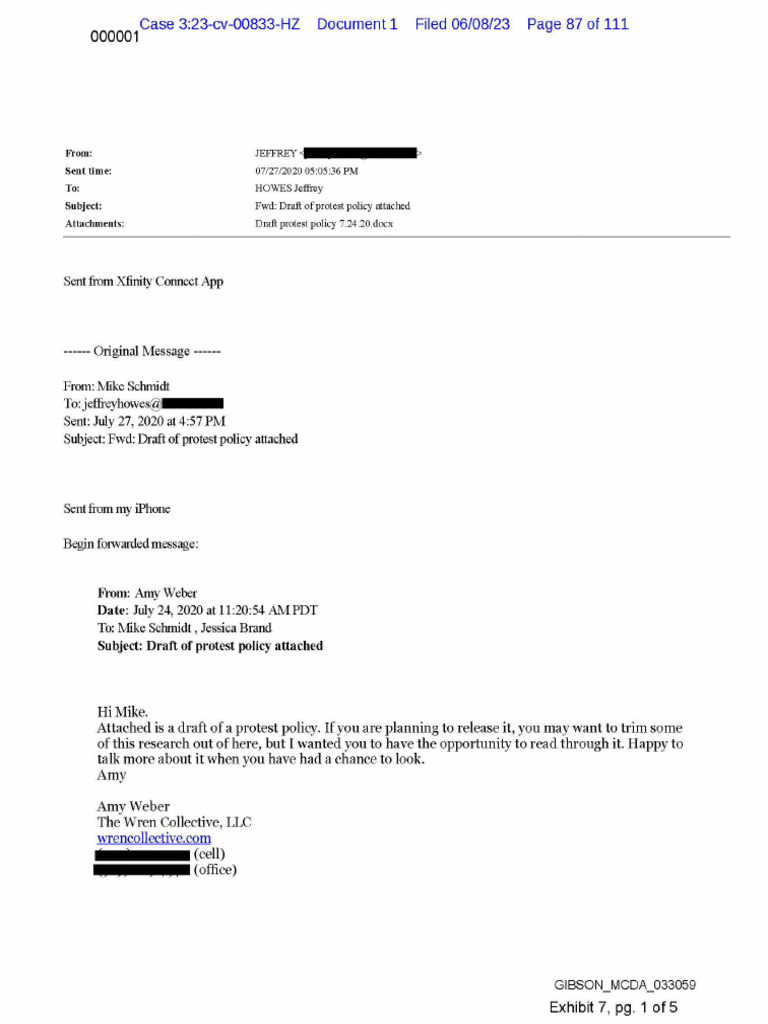 Wren Collective - Draft Protest Policy | PDF