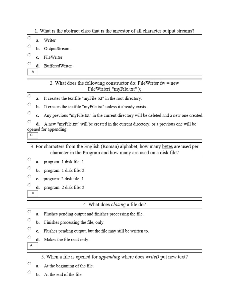Chapter One Questions | PDF | Computer File | Text File