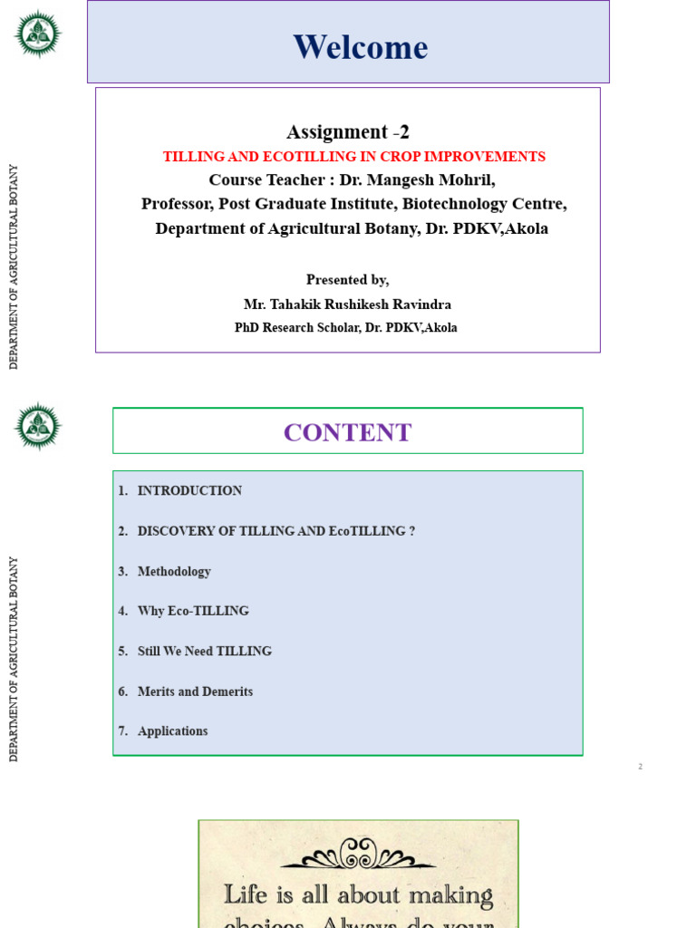 Forward and Reverse Genetics | PDF | Mutation | Single Nucleotide ...