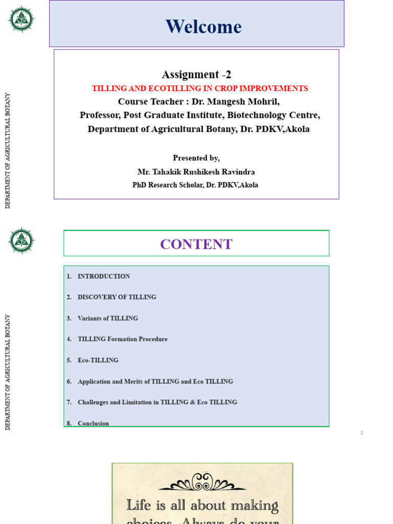 Tilling and Ecotilling in Crop Genetics | PDF | Mutation | Single ...