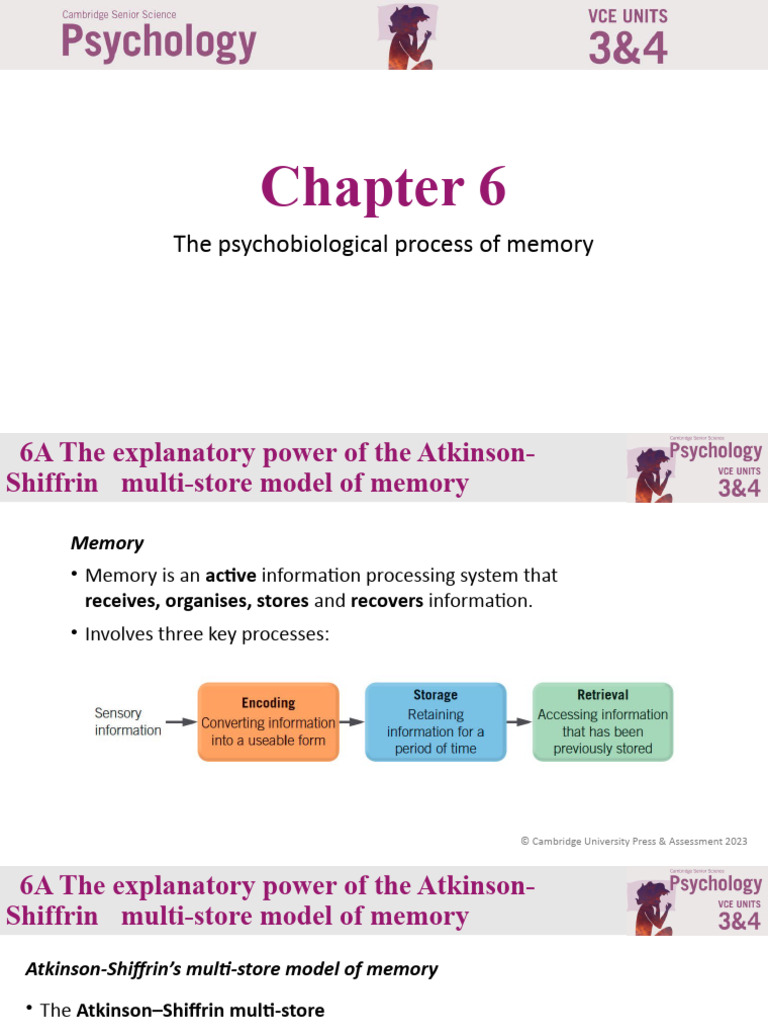 Chapter 6 Summary PowerPoint | PDF | Memory | Alzheimer's Disease