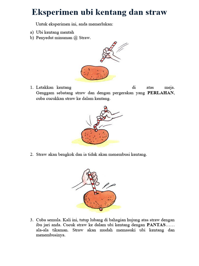 Eksperimen Ubi Kentang Dan Straw | PDF