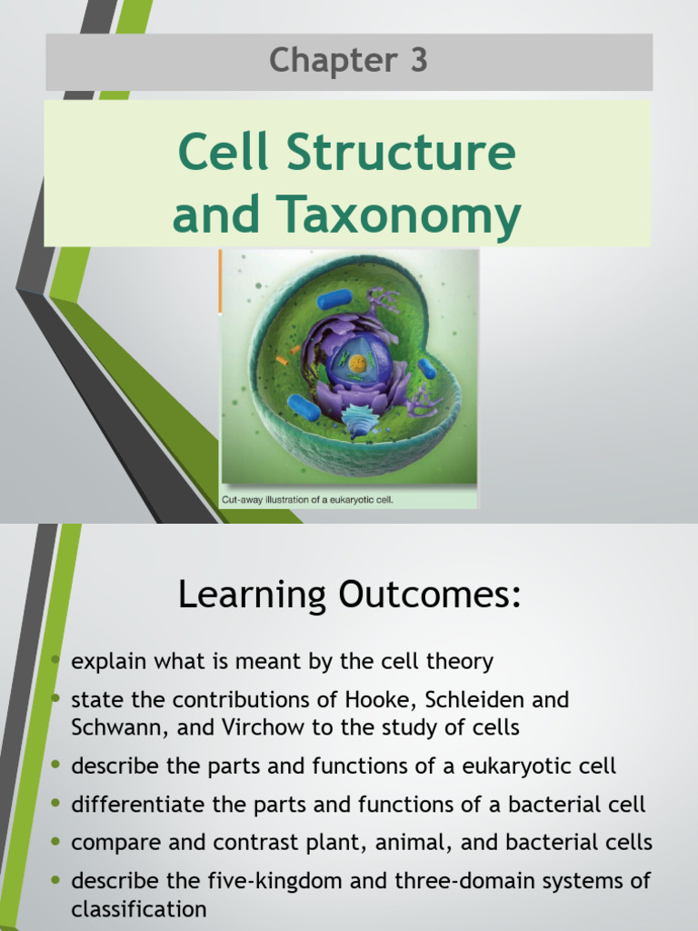 Chapter 3-Cell Structure and Taxonomy | Download Free PDF | Cell (Biology) | Cell Nucleus