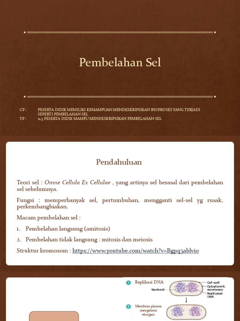 Pembelahan Sel | PDF