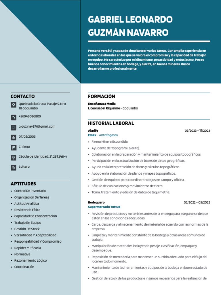 Gabriel Leonardo - CV - 2-1 | PDF