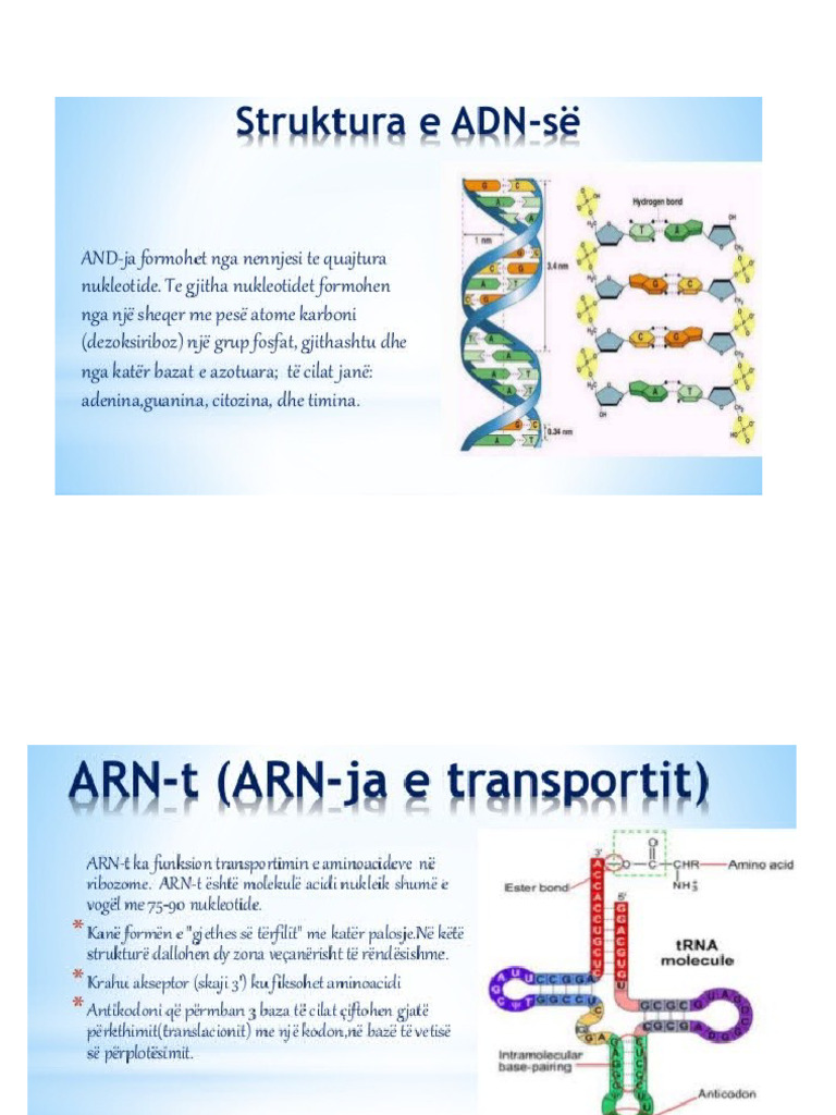 Detyre Portofoli | PDF