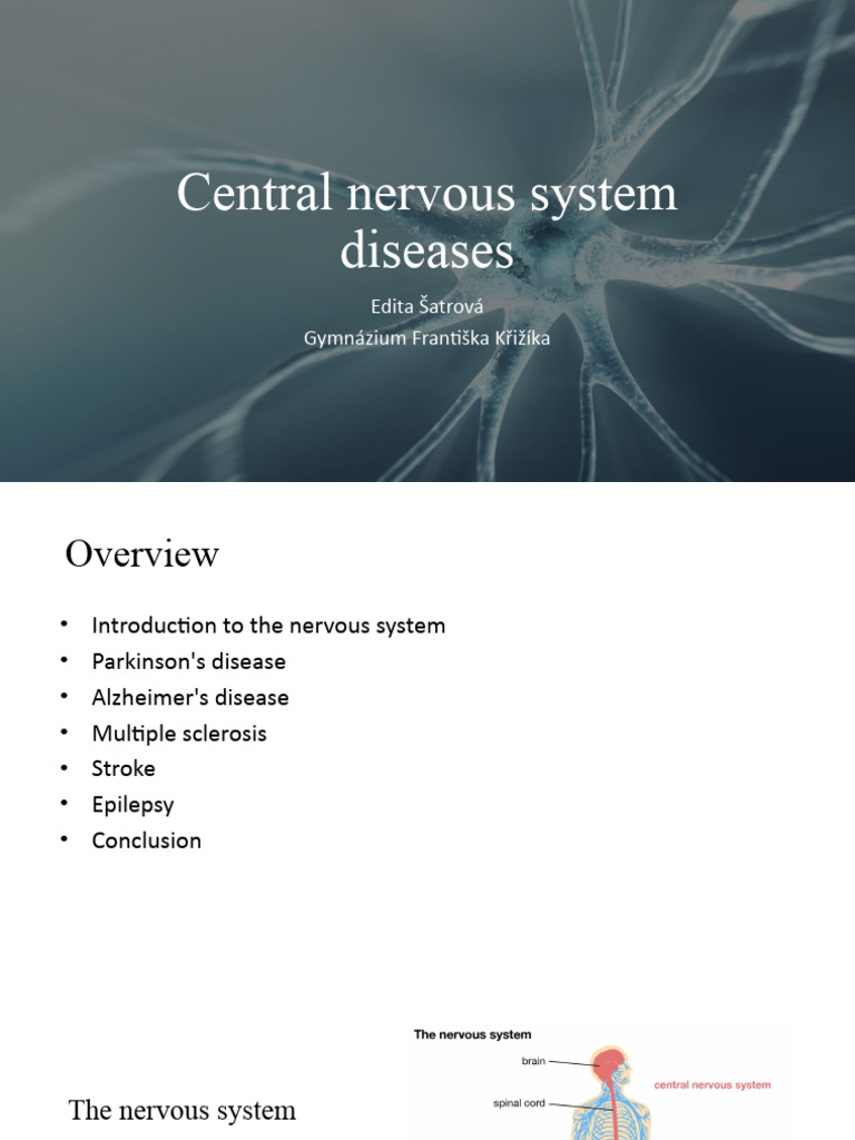 Central Nervous System Diseases Presentation | PDF | Central Nervous System | Nervous System