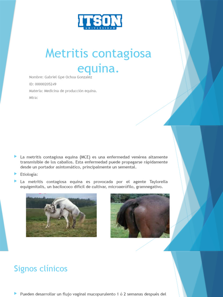 Metritis contagiosa equina | PDF | Medicina | Ciencias de la Salud