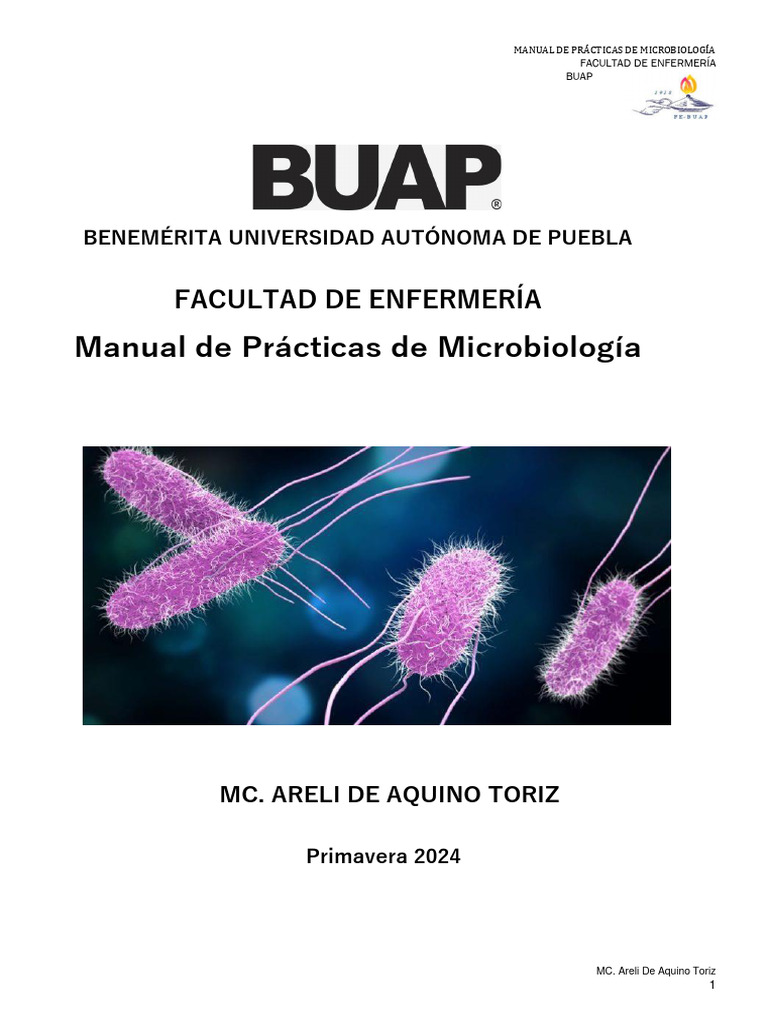 Manual Micro Corregido 2024 | PDF | Microscopio | Microscopio electrónico