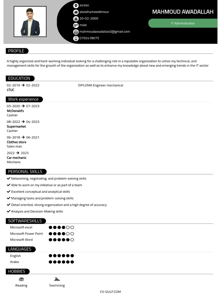 CV English Mahmoud | PDF