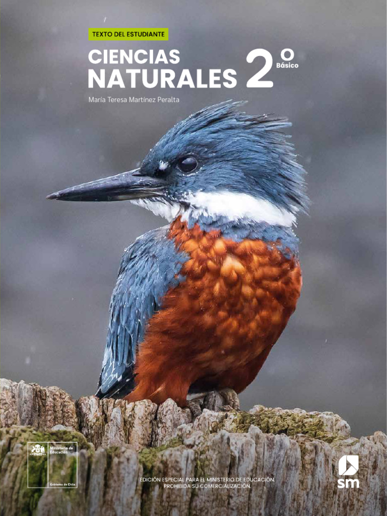 Ciencias Naturales - Estudiante | Descargar gratis PDF | Músculo | Chile