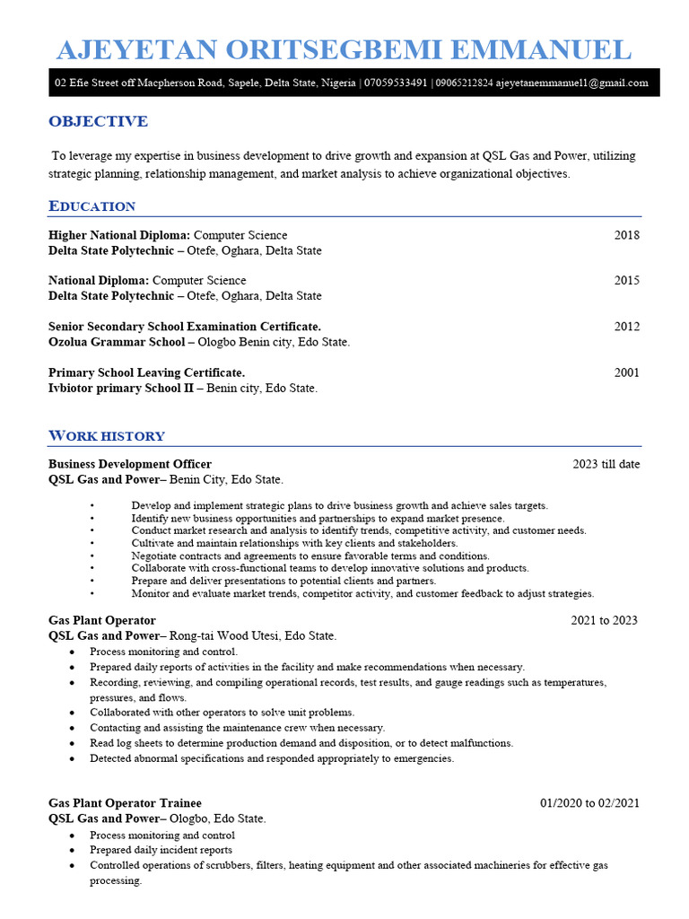 Ajeyetan Emmanuel's CV | PDF | Business