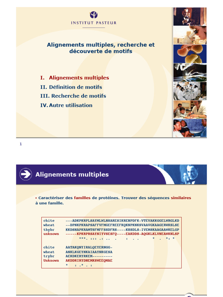 Alignement Multiple et Découverte de Motifs | PDF | Alignement de ...