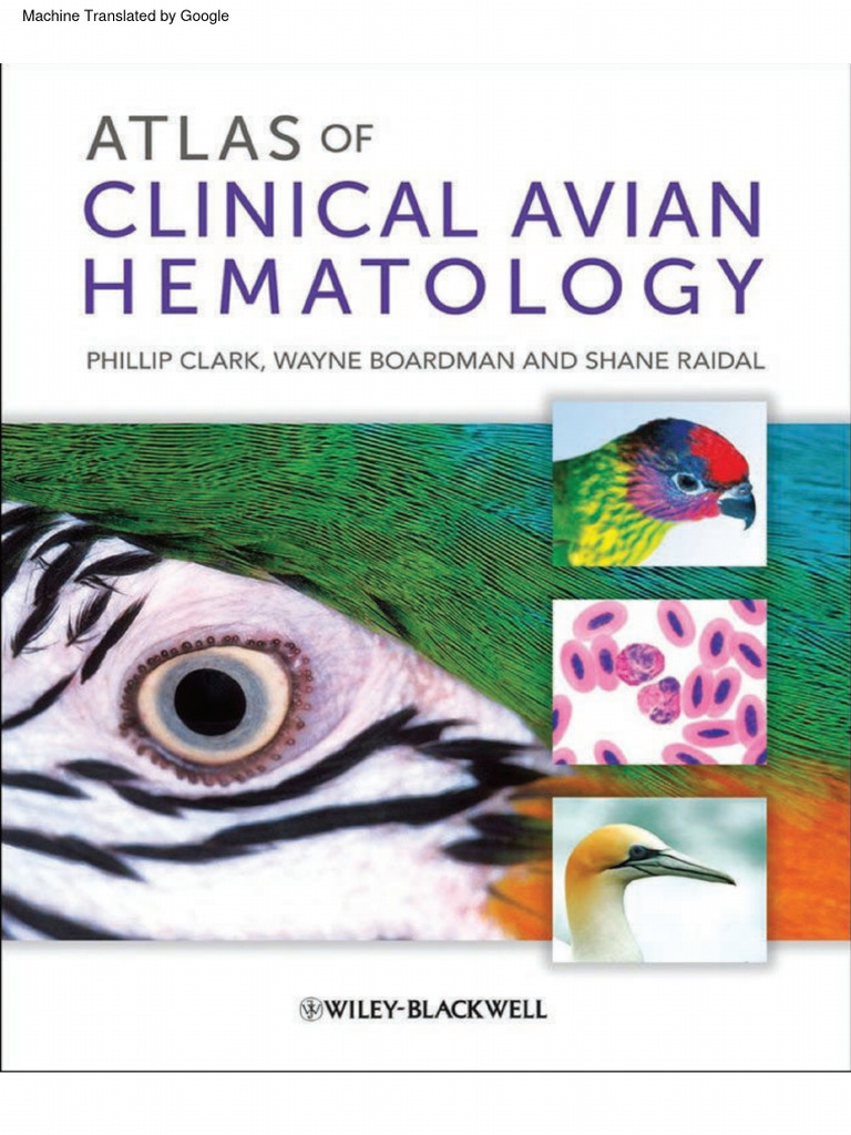 2 Atlas of Clinical Avian Hematology - Clark - Boardman - Raidal | PDF ...