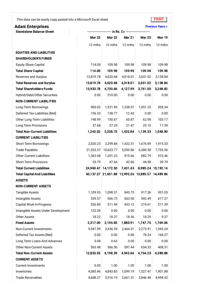 Adani Enterprises Balance Sheet Overview | PDF | Equity (Finance ...