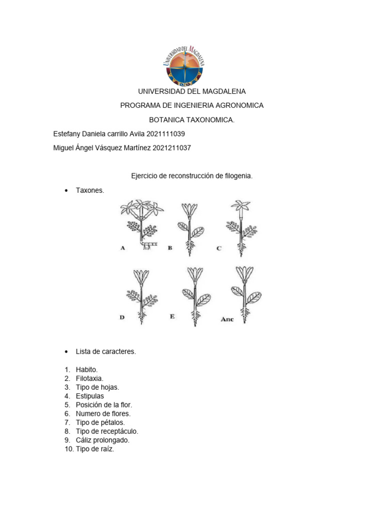 Ejercicio de reconstruccion de filogenia (1) | PDF | Botánica | Plantas