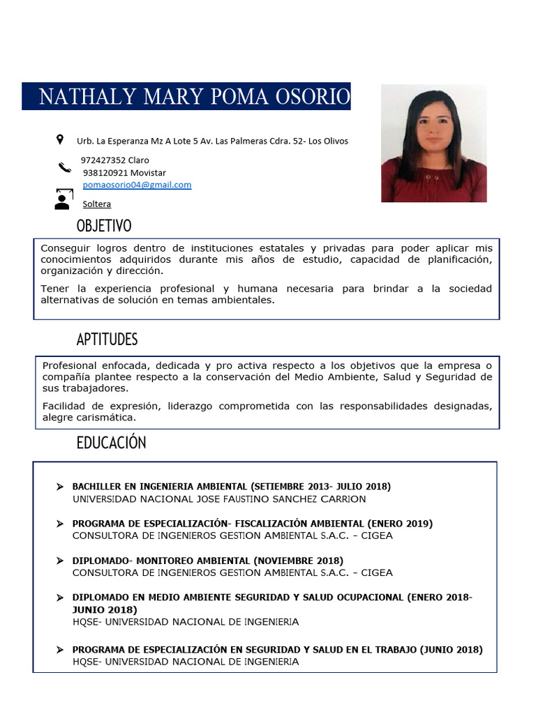 CV - Poma Osorio Nathaly LM | Descargar gratis PDF | Ingeniería