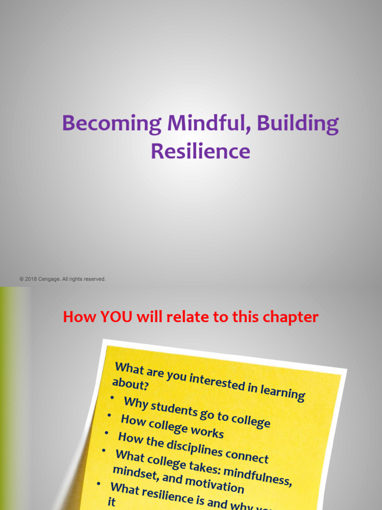 College Success: Mindfulness & Motivation | PDF | Psychological ...