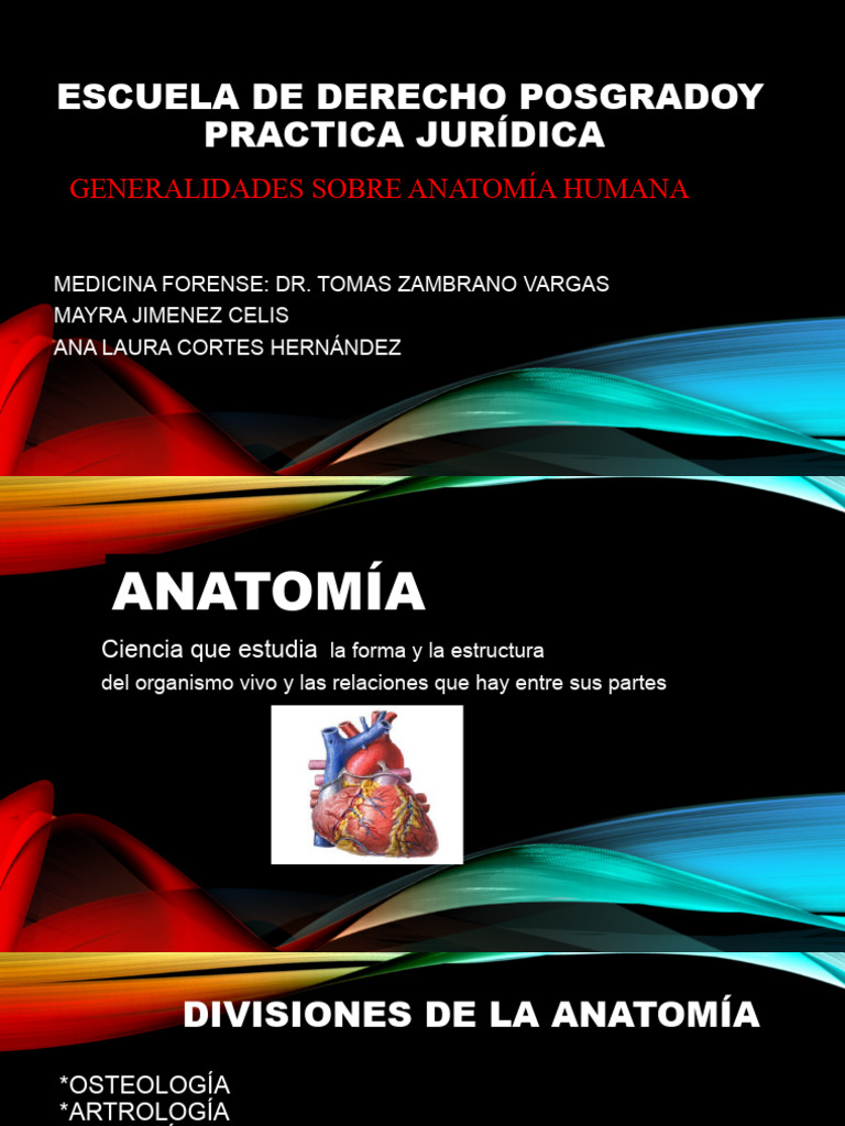 Presentacion Anatomía Humana | PDF | Riñón | Corazón