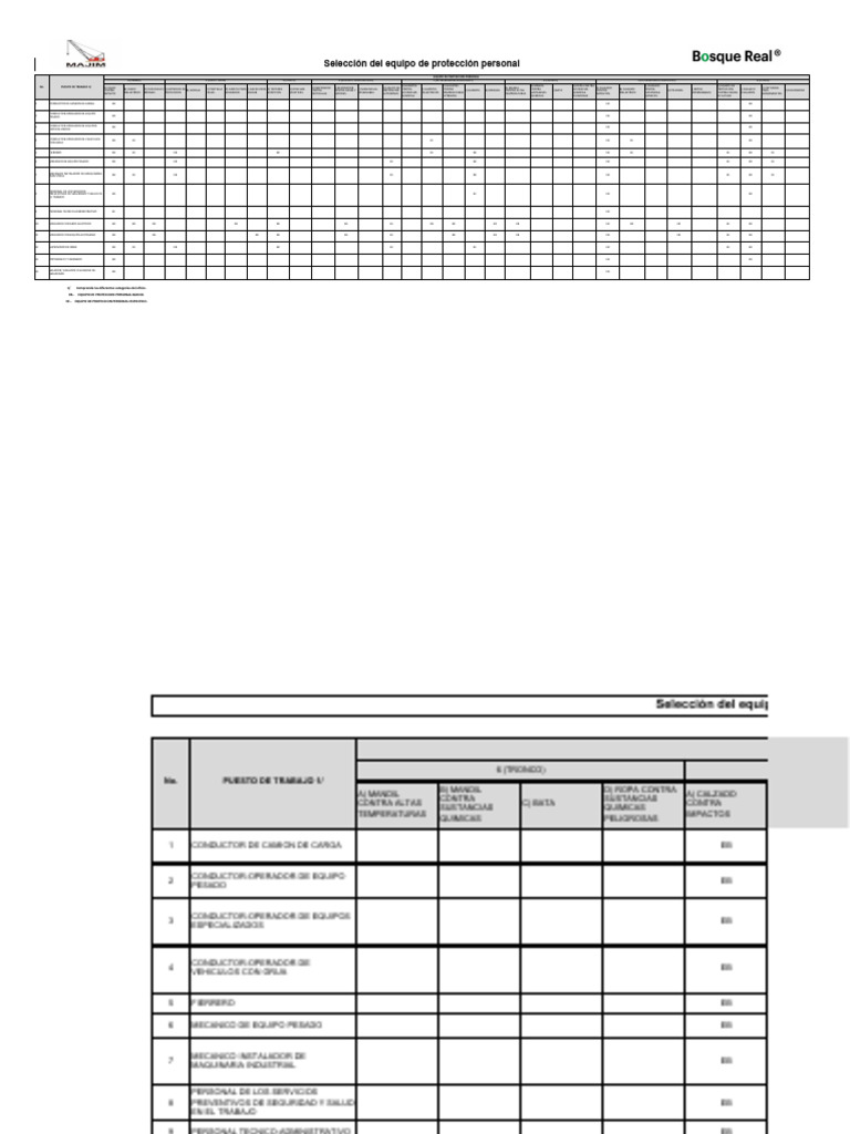 Tabla de Epp No.31 | PDF