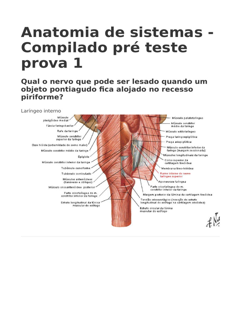 Compilado Prova 1 | PDF | Pâncreas | Fígado