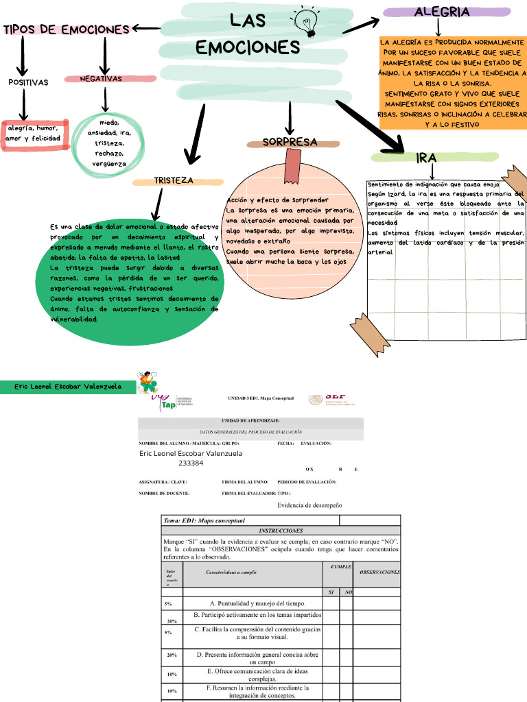 Mapa Conceptual "EMOCIONES" | PDF | Las emociones | Ira