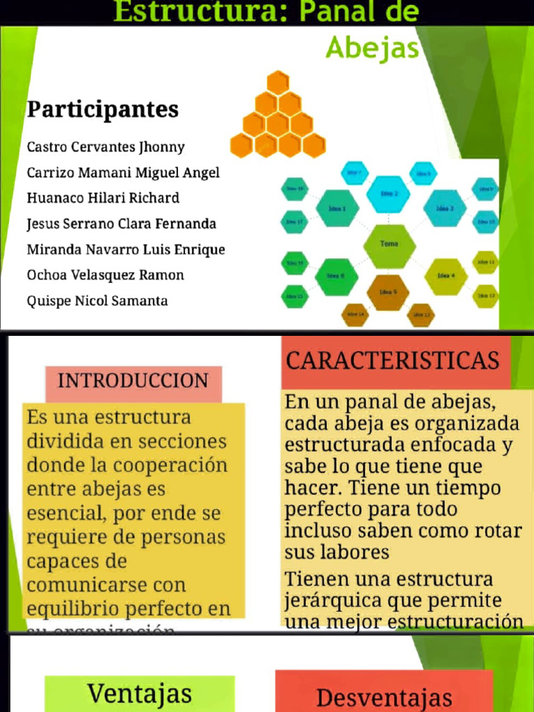 Estructura Panal de Abeja - Jesus Serrano Clara | PDF | Apicultura | La ...