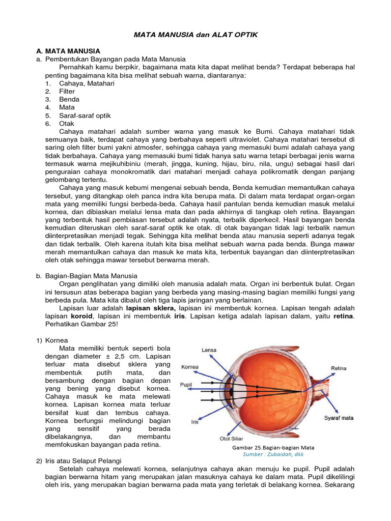 Fungsi dan Struktur Alat Optik Mata | PDF