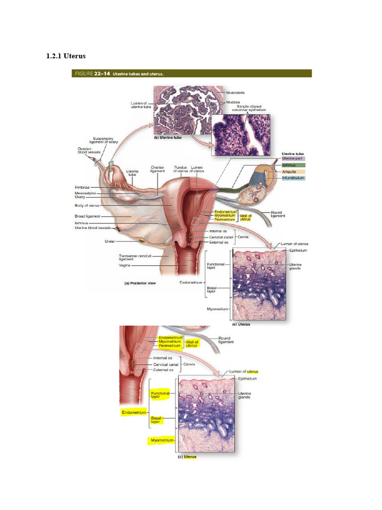 Case 3 Rps Oni Tutorial | PDF