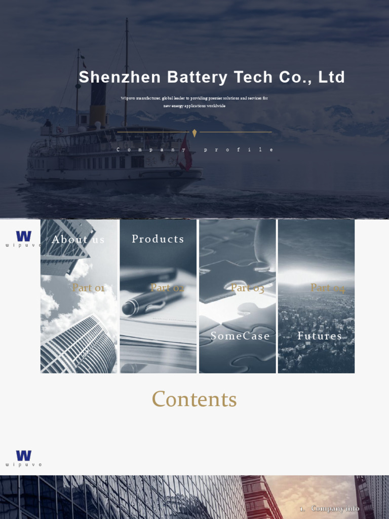 Shenzhen Battery Tech: LiFePO4 Solutions | PDF