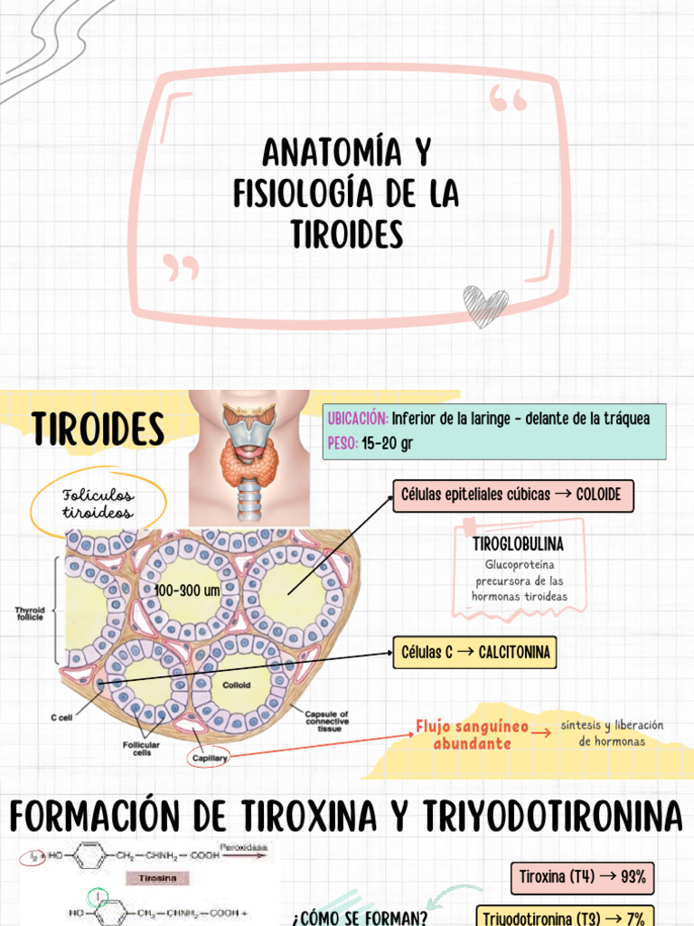 FARMACOLOGÍA DE LA TIROIDES | PDF | Hormona estimulante de la tiroides | Tiroides