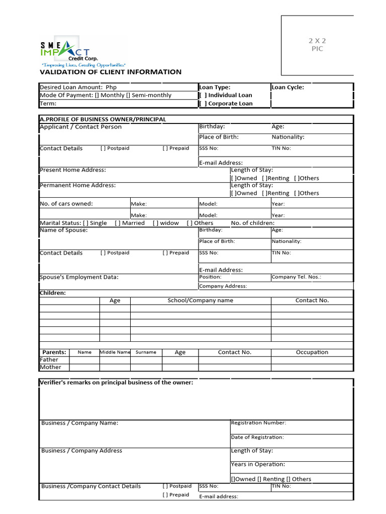 CIBI Report - Form B | PDF | Loans | Credit
