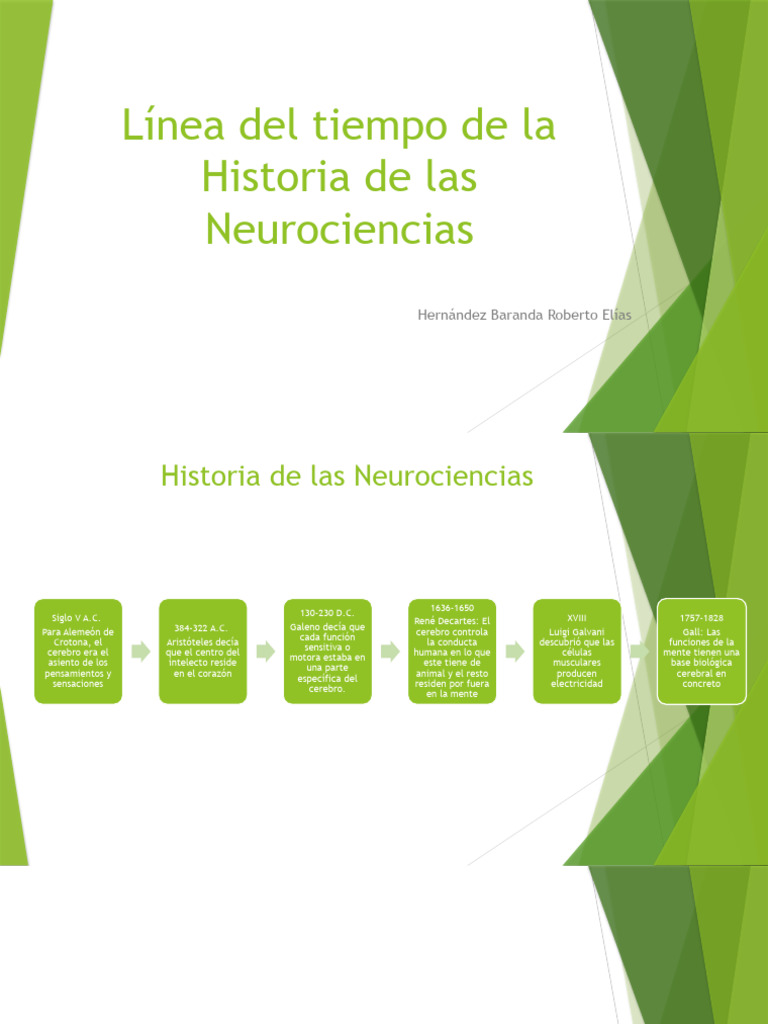 Línea Del Tiempo de La Historia de Las Neurociencias | PDF | Neurociencia | Cerebro