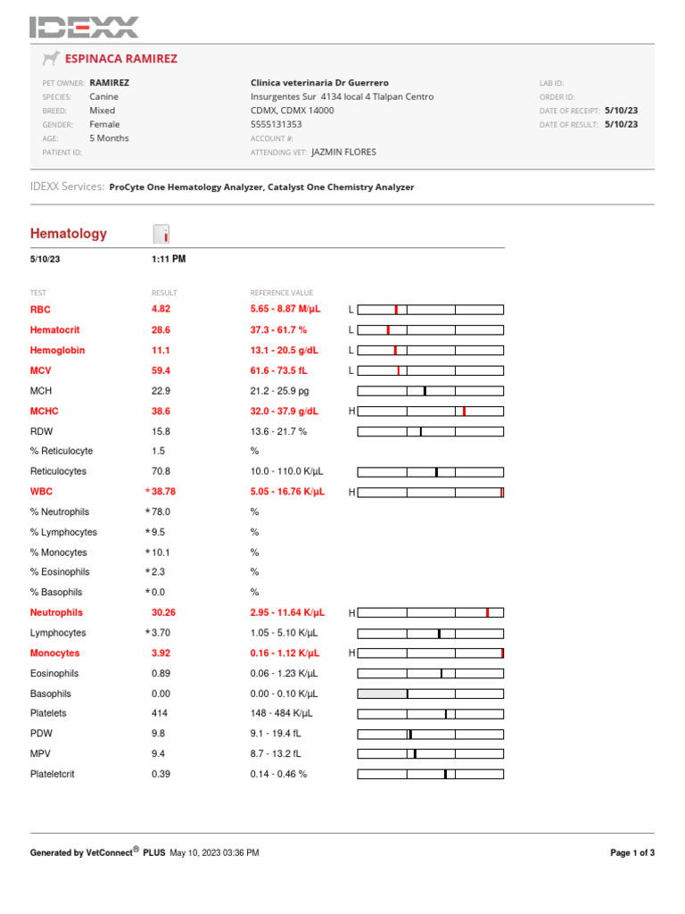 BH QS 10052023 Espinaca Ramirez | PDF | Blood | Hematology