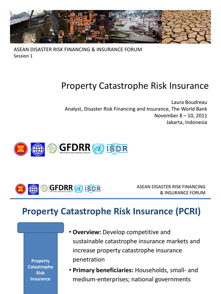 Property Catastrophe Risk Insurance | PDF | Reinsurance | Insurance