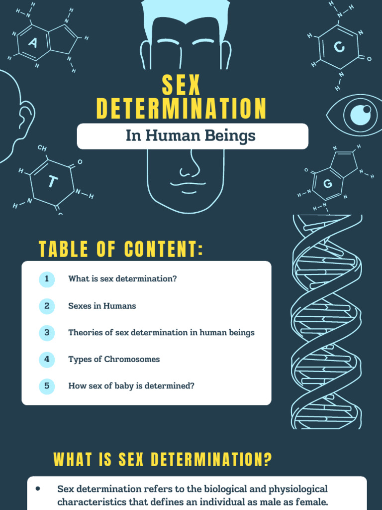 Genetics Basic Concepts Ppt For Class 8 Pdf