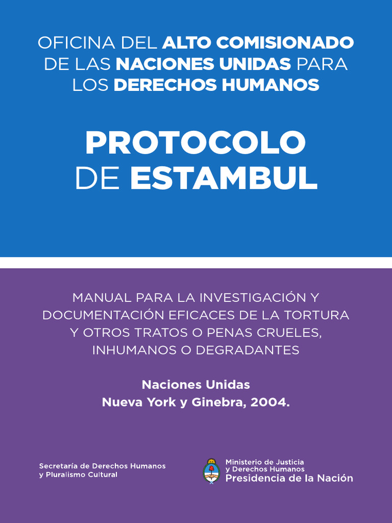 Protocolo de Estambul 2019 | PDF | Convenio europeo de derechos humanos ...
