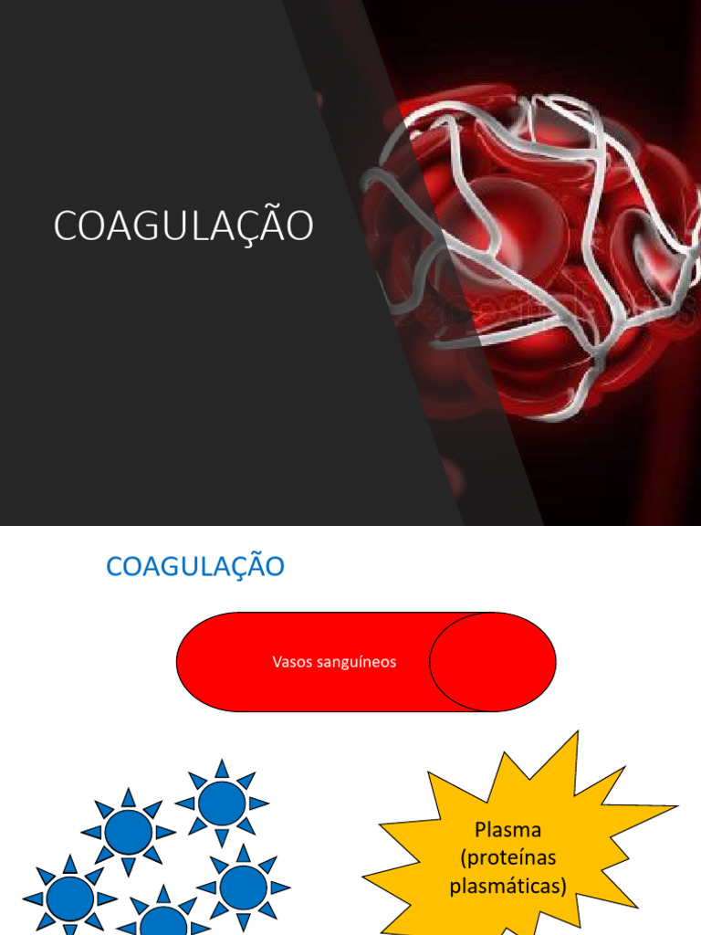 12 Aula - Hemostase - Disturbios Hemorrágicos | PDF | Coagulação ...