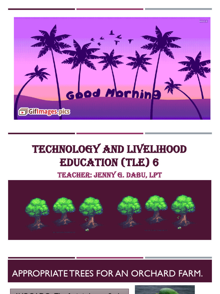 TLE Orchard Farming | PDF | Fruit | Mango