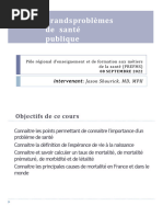 Fiche Eval Pratique Bilan Articulaire Et Mobilisation | PDF
