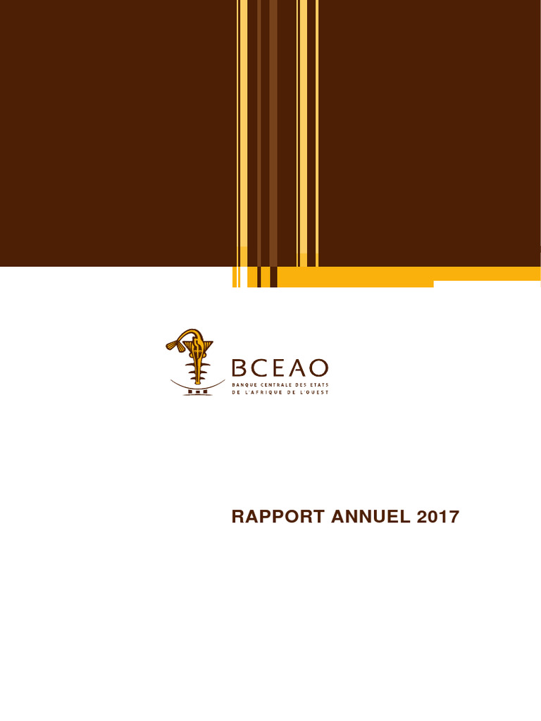 Rapport Annuel 2017 | PDF