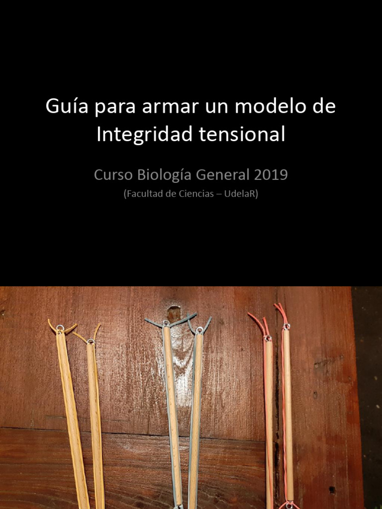 Guía para Armar Un Modelo de Integridad Tensional | PDF