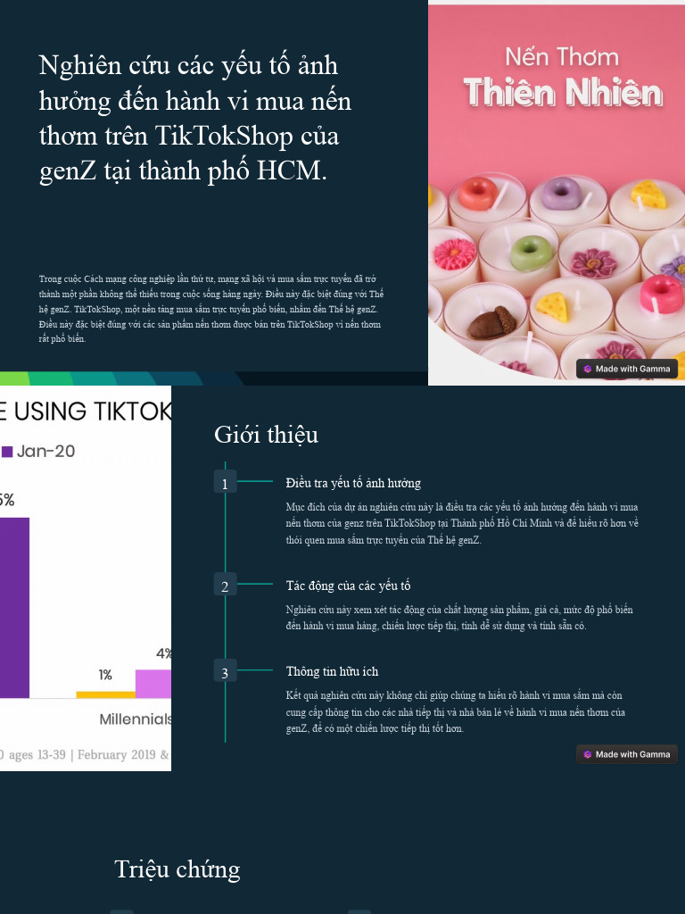Nghien Cuu Cac Yeu To Anh Huong Djen Hanh VI Mua Nen Thom Tren TikTokShop Cua Genz Tai Thanh Pho ...