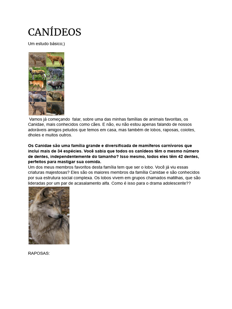 CANÍDEOS | PDF | Canidae | Raposa