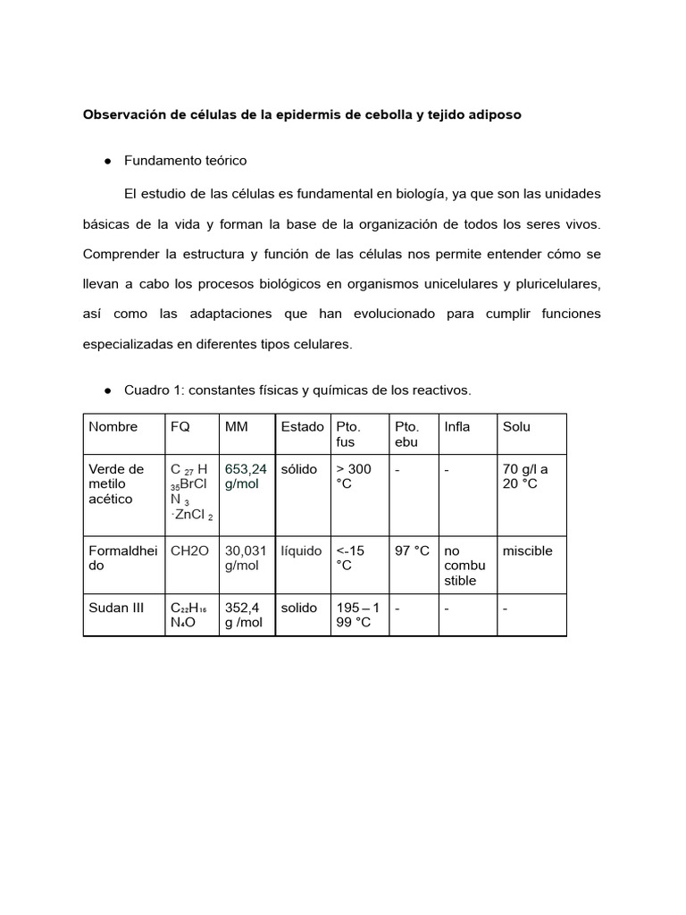 Lab 2 Procesos Pdf