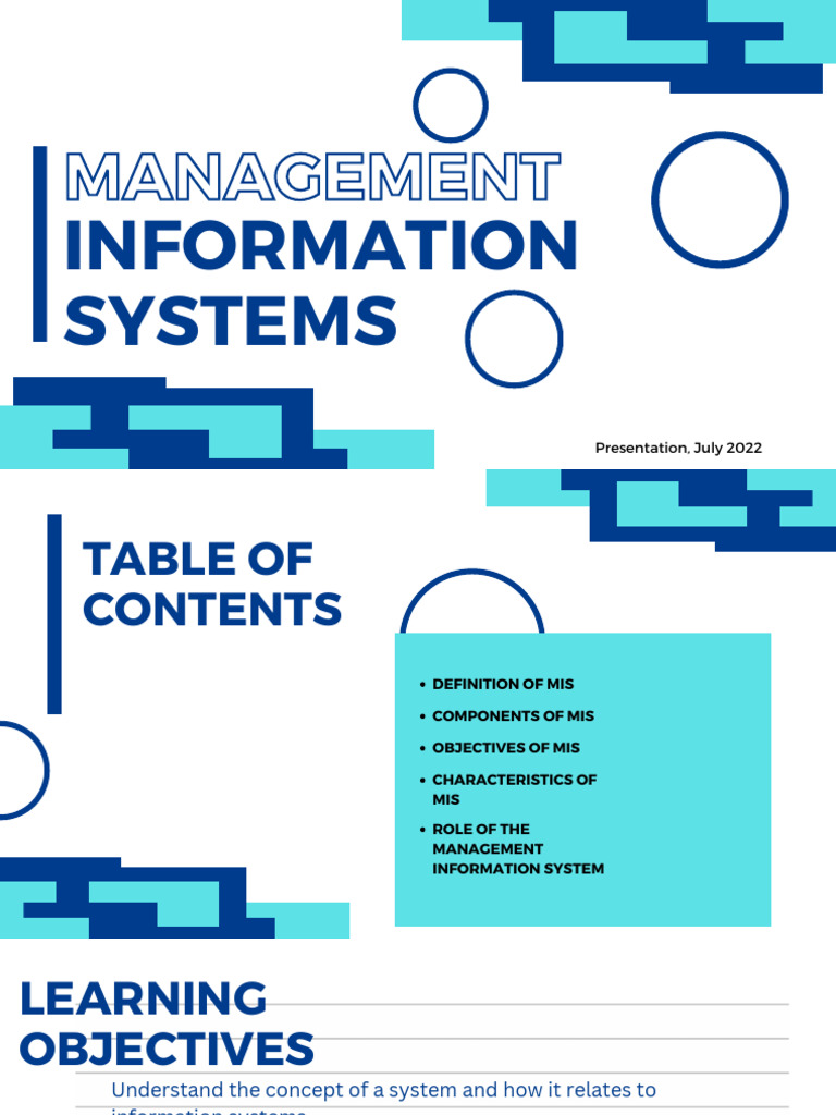 CH 1. Intro To Mis 1 | PDF