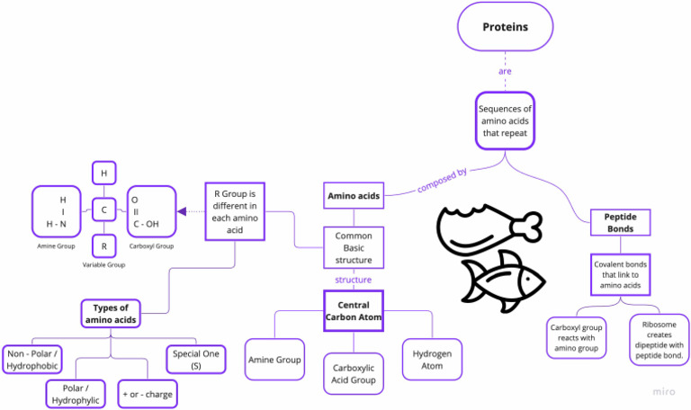 BIO - Proteins Mind Map | PDF