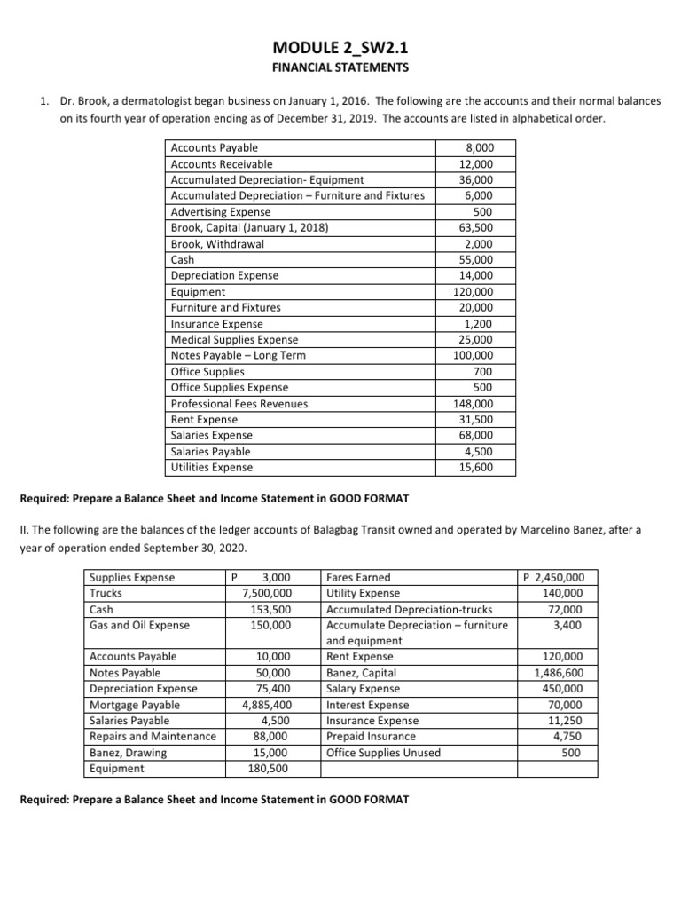 M2 - SW2.1 - Financial Statements | PDF